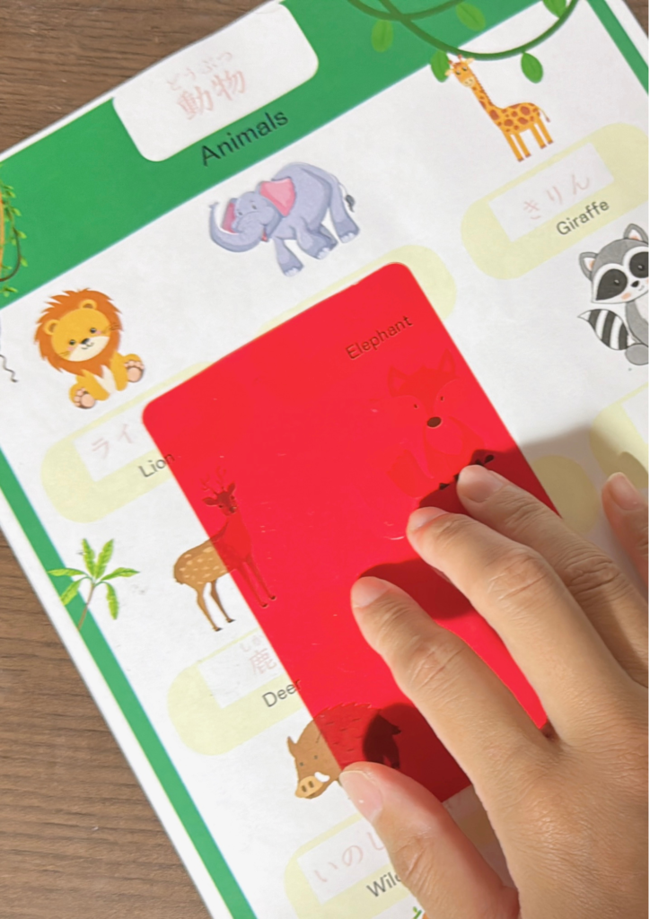 Vocabulary Book – Saki's Japanese lessons